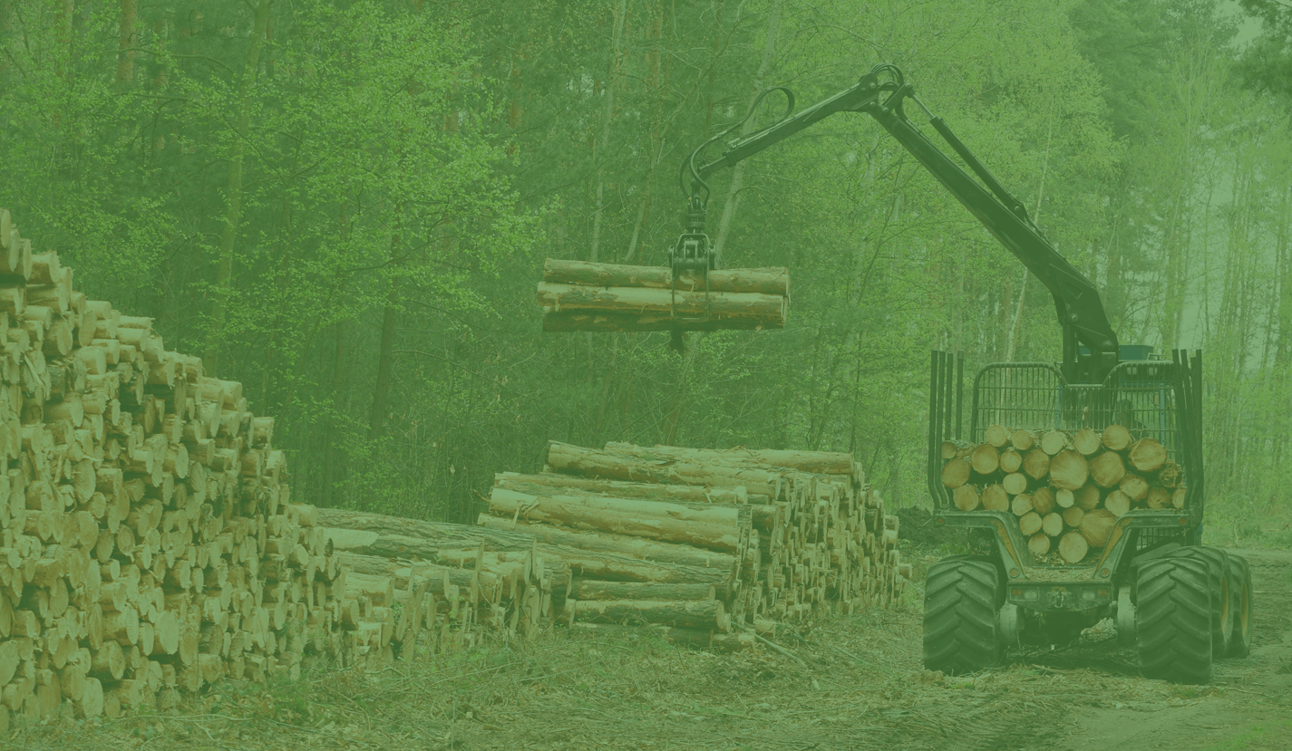 Forestry and Logging Program